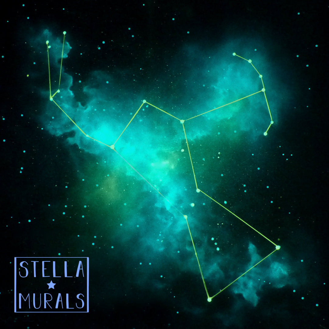 🌟 Constellation Nebula Mural | Stella Murals