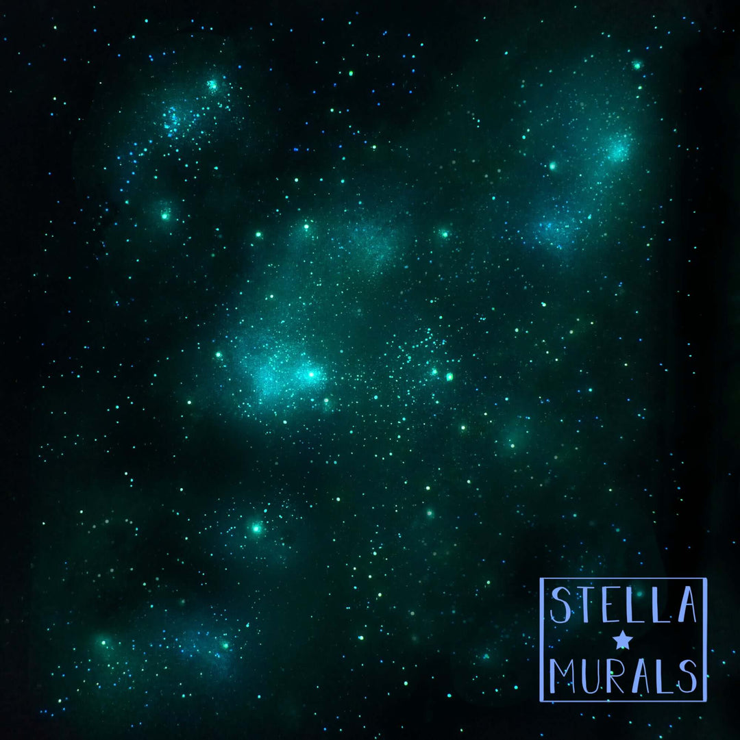 Star Burst | Glow in the Dark Ceiling Canopy | 1000 Stars